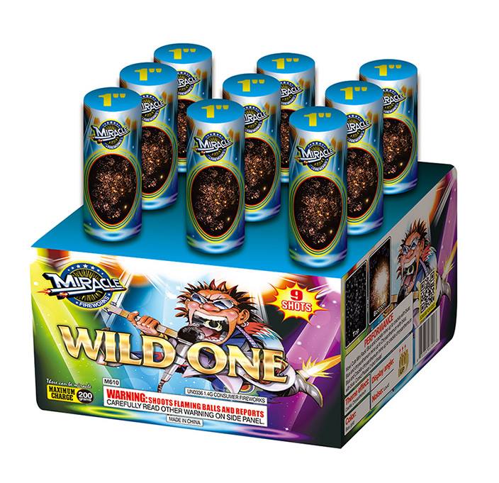 Wild One - Brumbaugh Fireworks